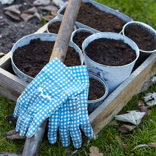A Beginner's Guide To Growing Your Own At-Home Garden - HSN Blogs